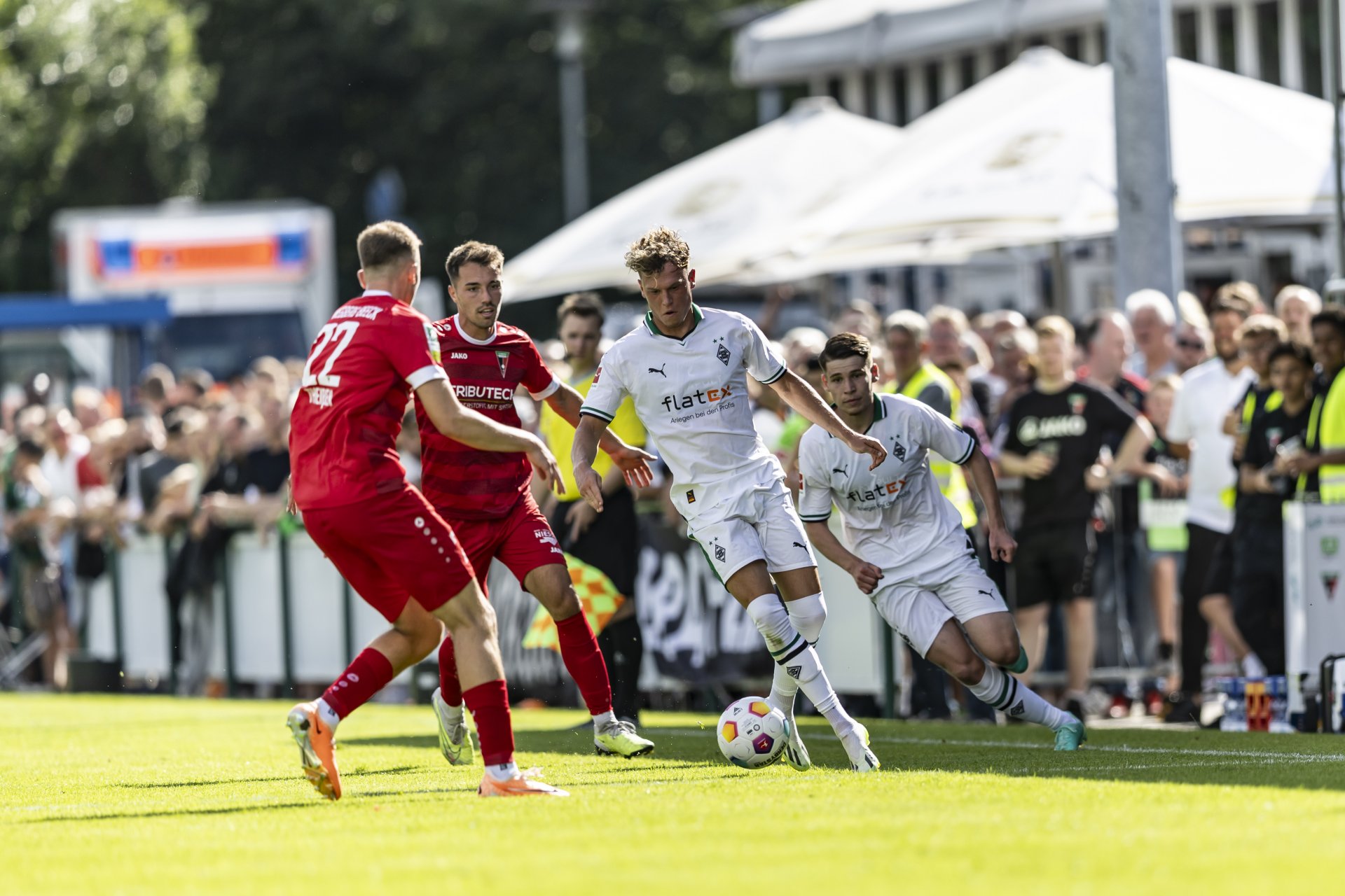 Stimme: Robin Hack - FohlenTV