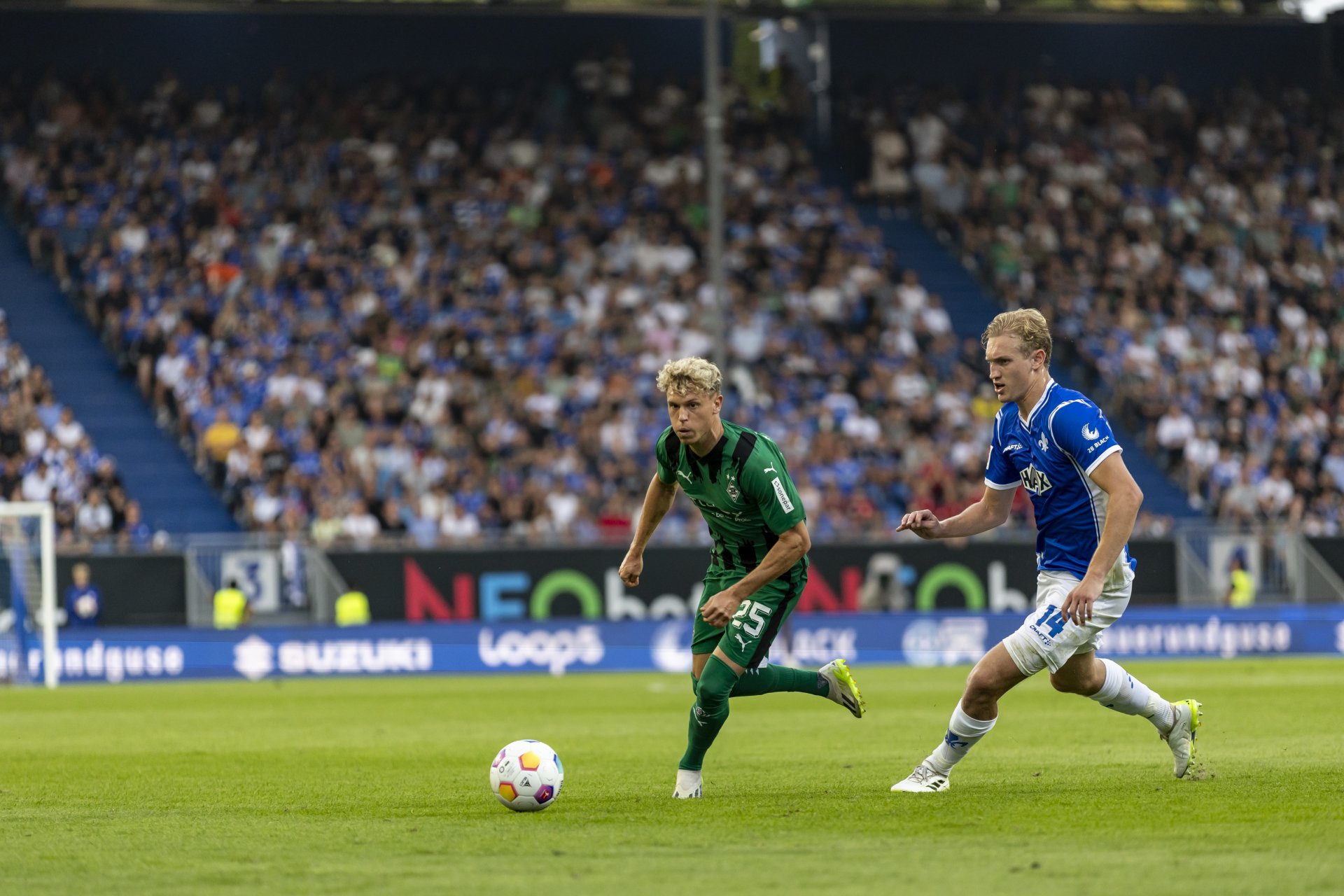 Stimme: Robin Hack - FohlenTV