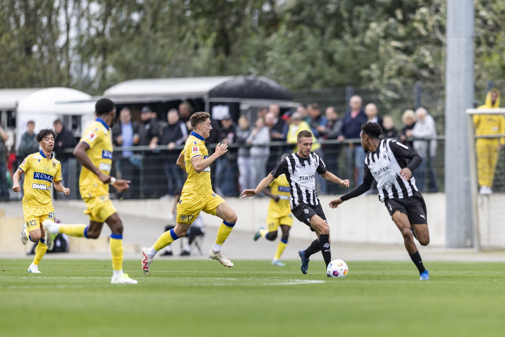 Stimme: Patrick Herrmann - FohlenTV