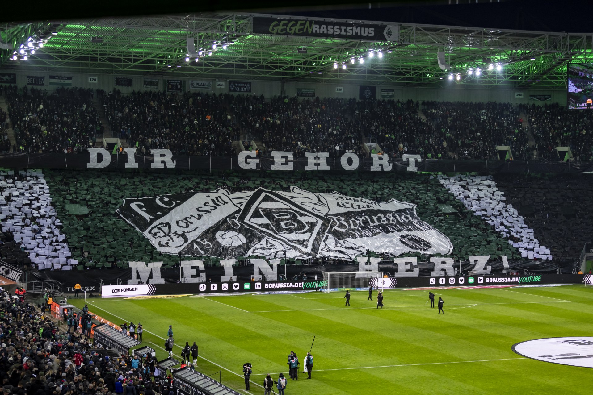 Borussia Mönchengladbach Vfb Stuttgart Fohlentv