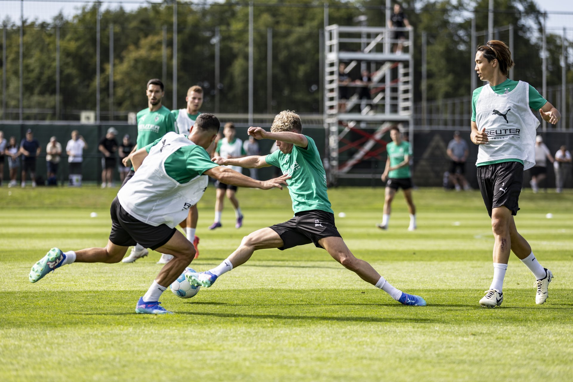 Hack ist zurück im Training - FohlenTV