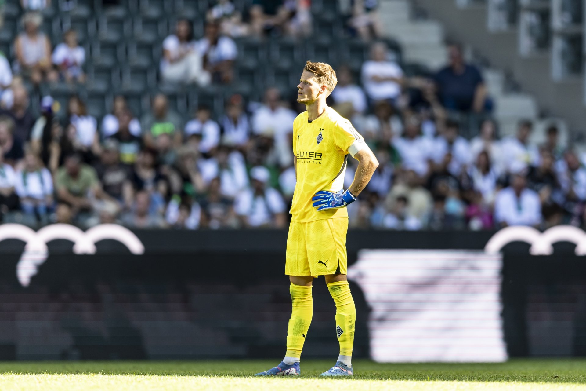 Stimme: Jonas Omlin - FohlenTV